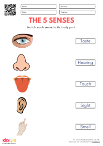5 Senses Worksheet for Kindergarten - Kidpid