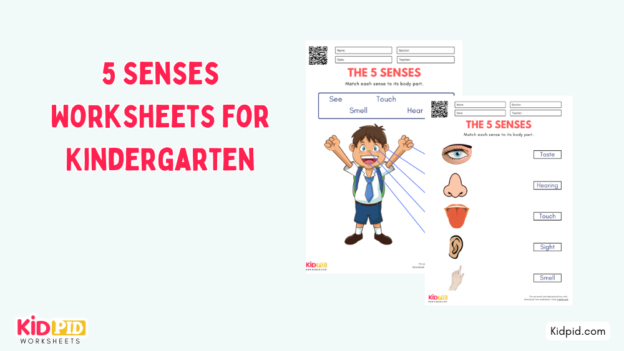 5 Senses Worksheet for Kindergarten - Kidpid