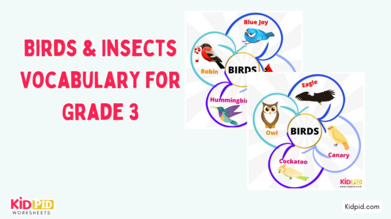 Birds & Insects Vocabulary For Grade 3 - Kidpid