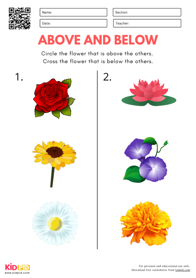 Above and Below Position Worksheet for Kindergarten - Kidpid