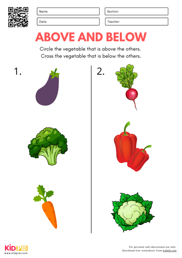 Above and Below Position Worksheet for Kindergarten - Kidpid