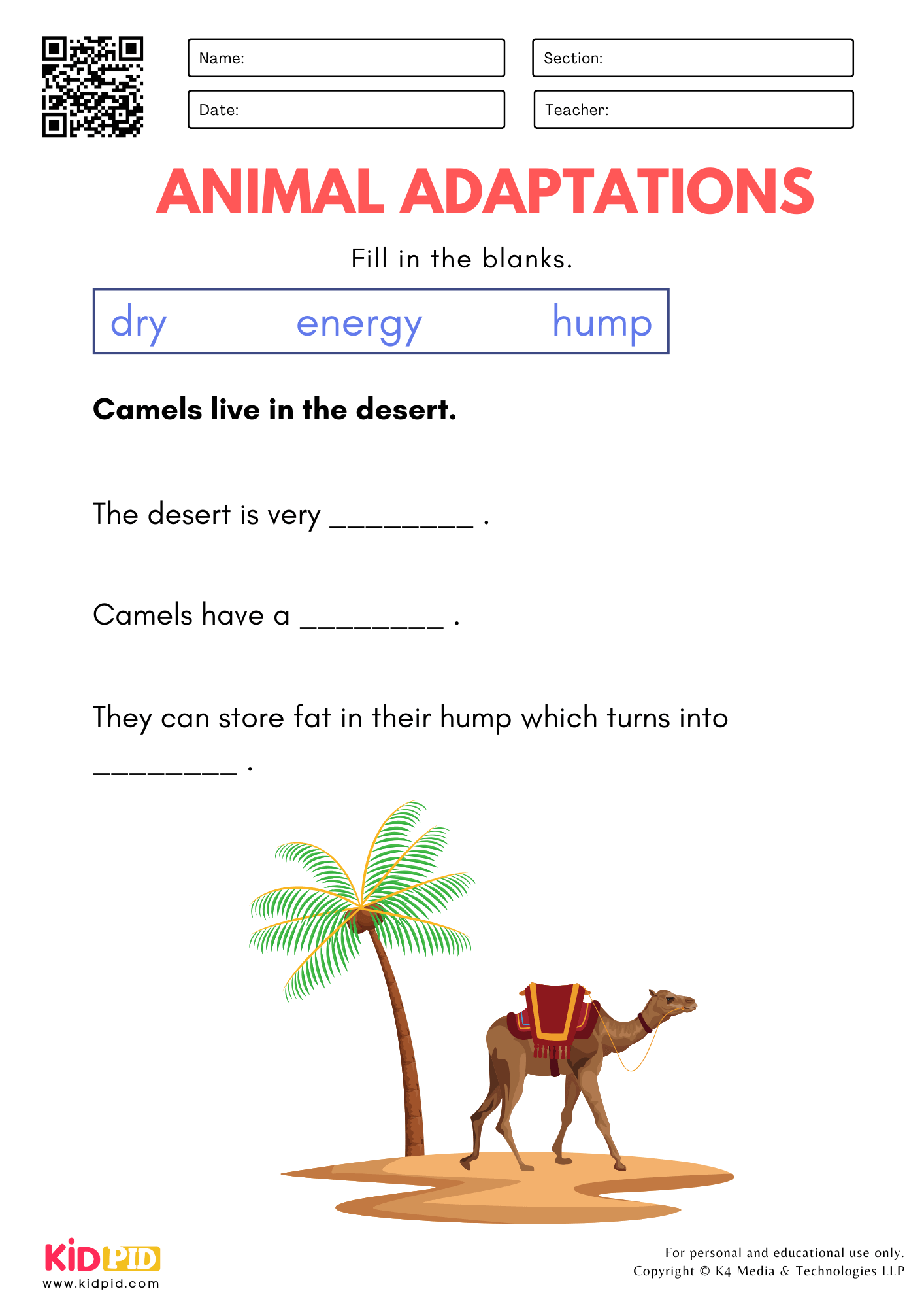 Animal Adaptations Worksheet for Kindergarten - Kidpid