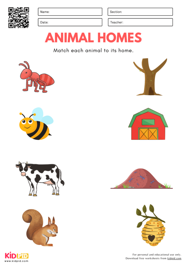 Animal Homes Matching Worksheet for Kindergarten - Kidpid