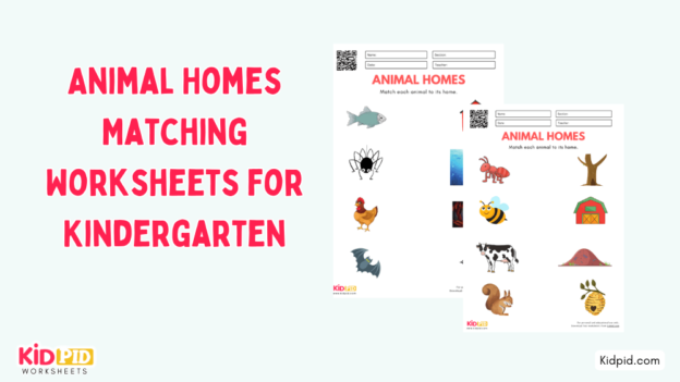 Animal Homes Matching Worksheet for Kindergarten - Kidpid