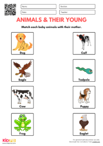 Animals & Their Young Worksheet for Kindergarten - Kidpid