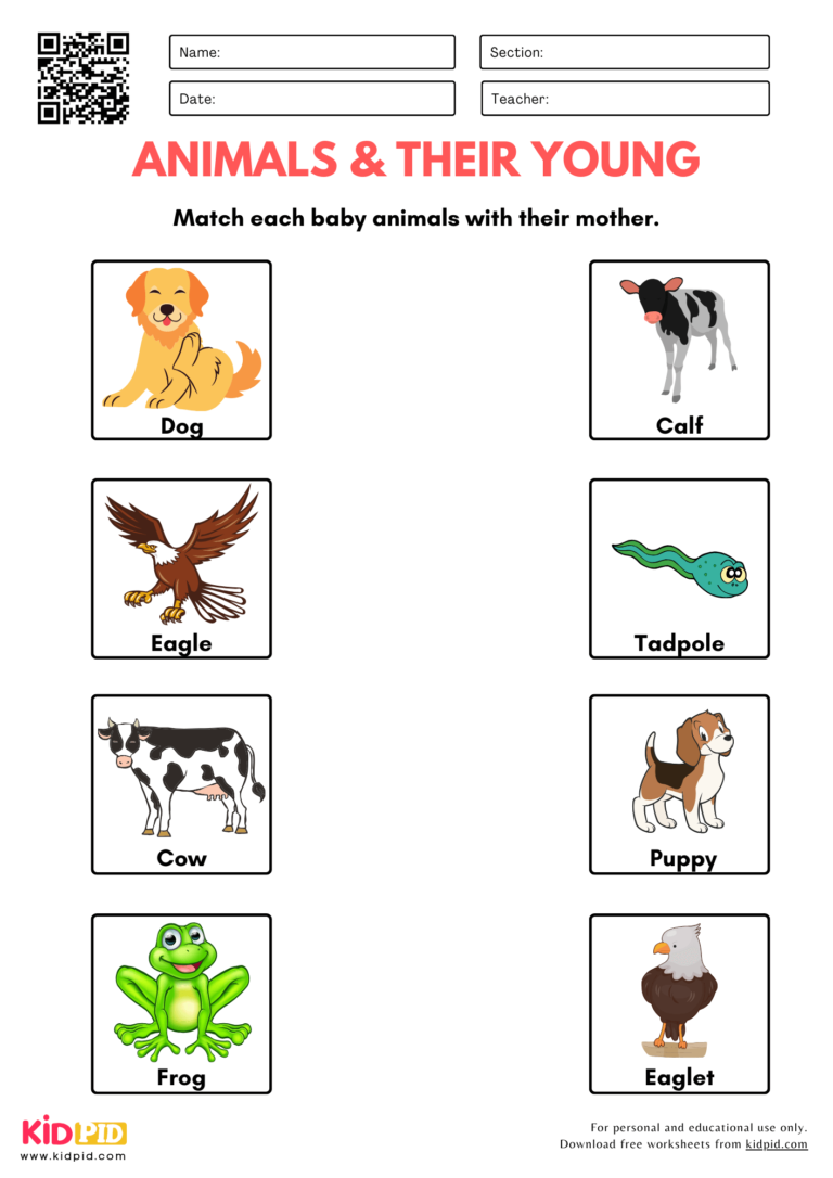Animals & Their Young Worksheet for Kindergarten - Kidpid
