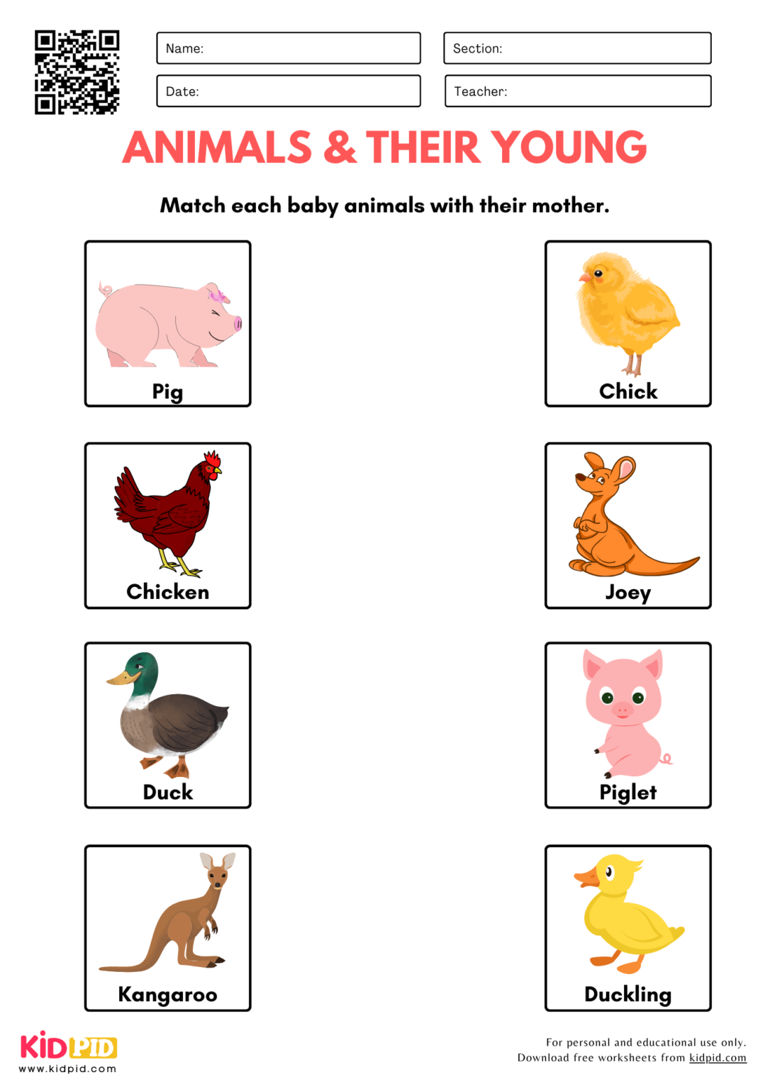 Animals & Their Young Worksheet for Kindergarten - Kidpid