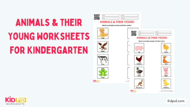 Animals & Their Young Worksheet for Kindergarten - Kidpid