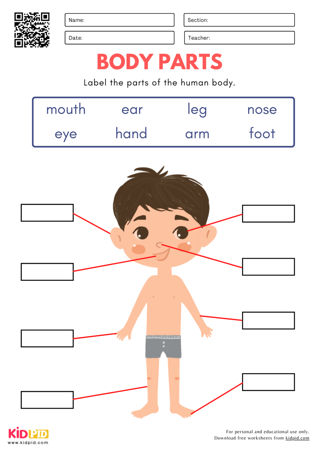 Body Parts Worksheet for Kindergarten - Kidpid