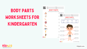 Body Parts Worksheet for Kindergarten - Kidpid