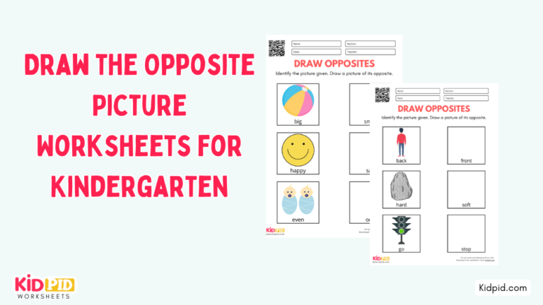 Draw the Opposite Picture Worksheet for Kindergarten - Kidpid