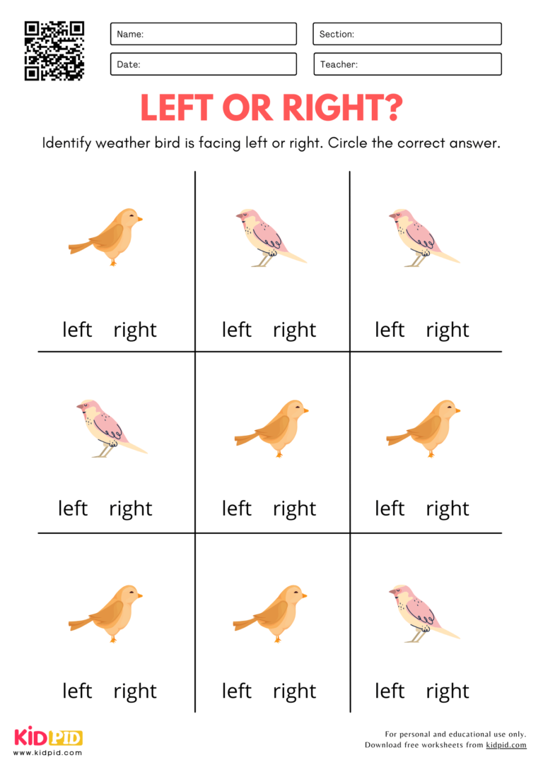 Facing Left or Right Position Worksheet for Kindergarten - Kidpid