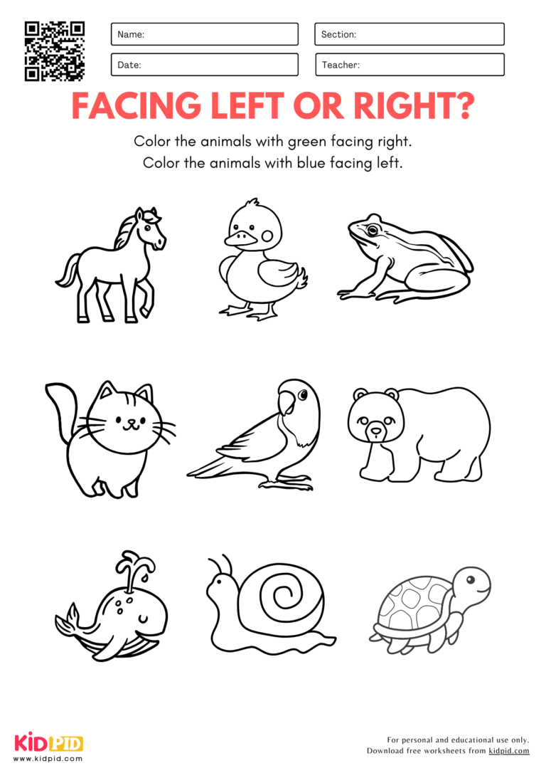 Facing Left or Right Position Worksheet for Kindergarten - Kidpid