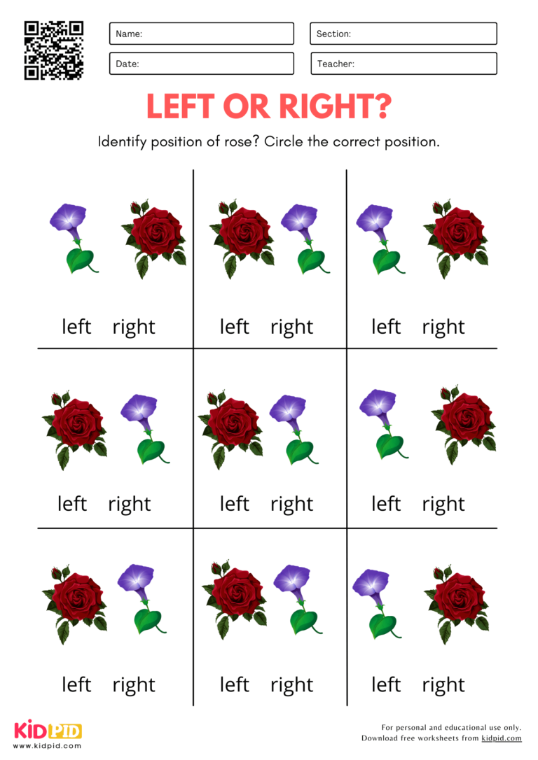 Left or Right Position Worksheet for Kindergarten - Kidpid