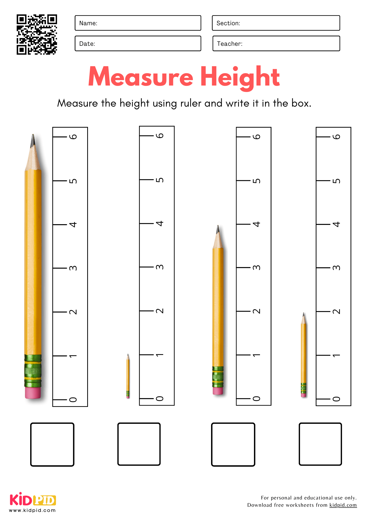 Length and Height Measurement Worksheet for Kindergarten - Kidpid