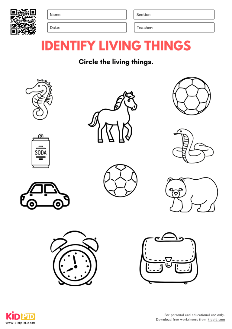 Living Things Worksheets for Kindergarten - Kidpid