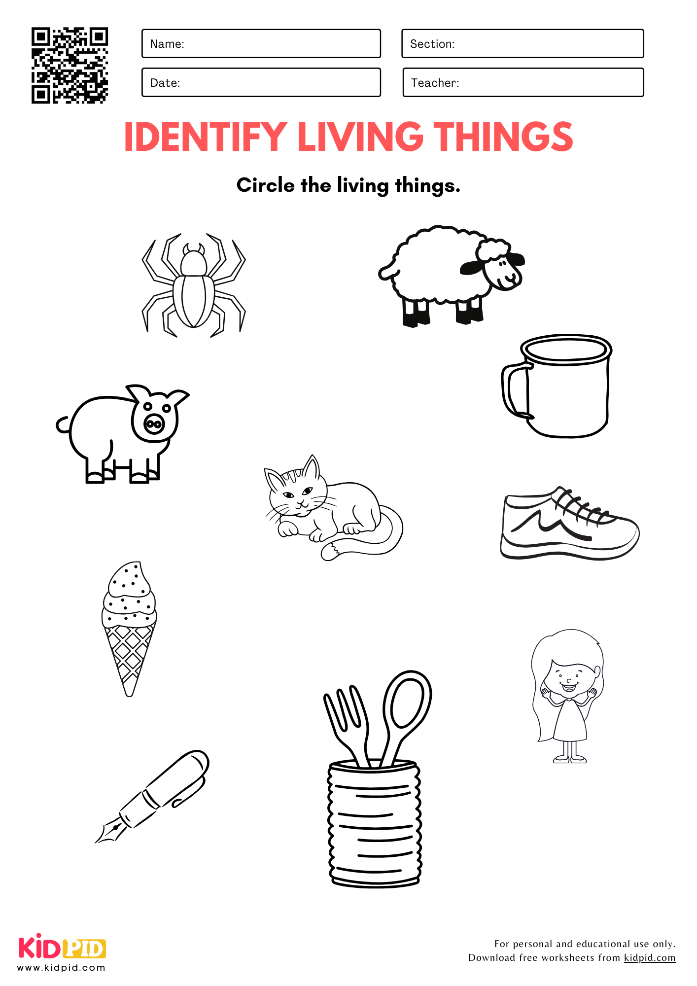 Living Things Worksheets for Kindergarten - Kidpid