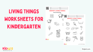 Living Things Worksheets for Kindergarten - Kidpid