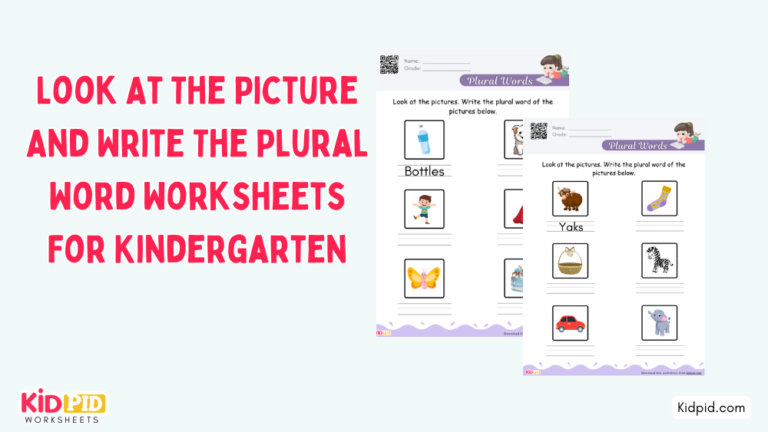 Look At The Picture And Write The Plural Word Worksheets For ...