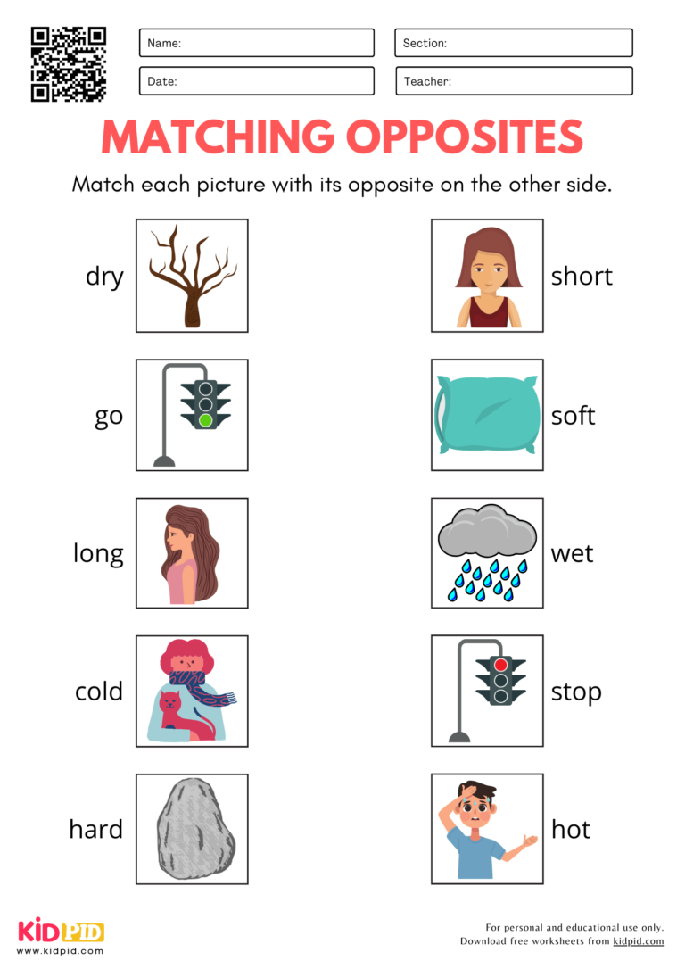 Matching Opposites Pictures Worksheet for Kindergarten - Kidpid