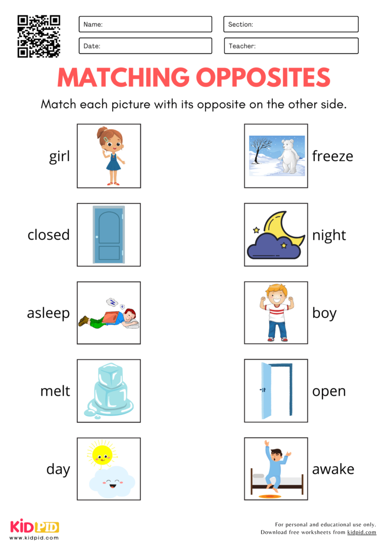 Matching Opposites Pictures Worksheet for Kindergarten - Kidpid