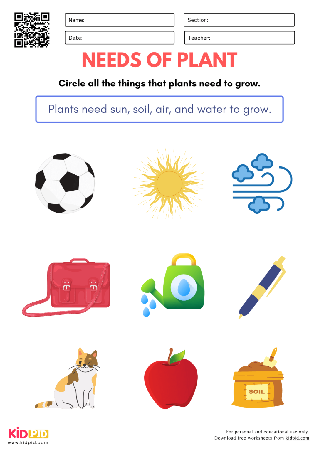 Need of Plant Worksheet for Kindergarten - Kidpid