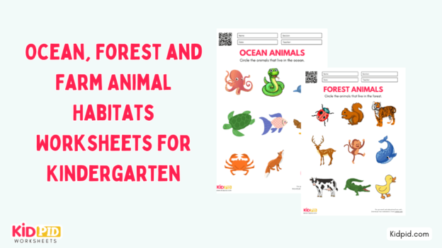 Ocean, Forest and Farm Animal Habitats Worksheet for Kindergarten - Kidpid