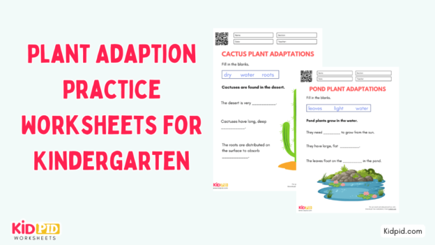 Plant Adaption Practice Worksheet for Kindergarten - Kidpid