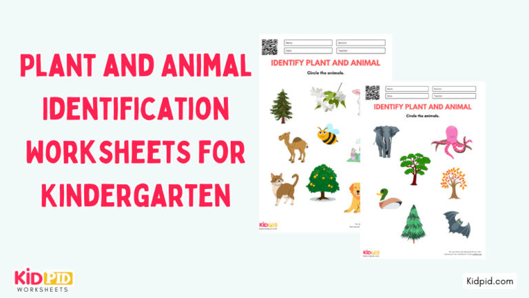 Plant and Animal Identification Worksheet for Kindergarten - Kidpid