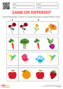 Same or Different Identification Worksheet for Kindergarten - Kidpid