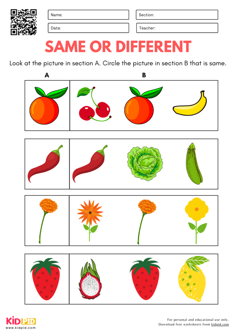 Same or Different Identification Worksheet for Kindergarten - Kidpid