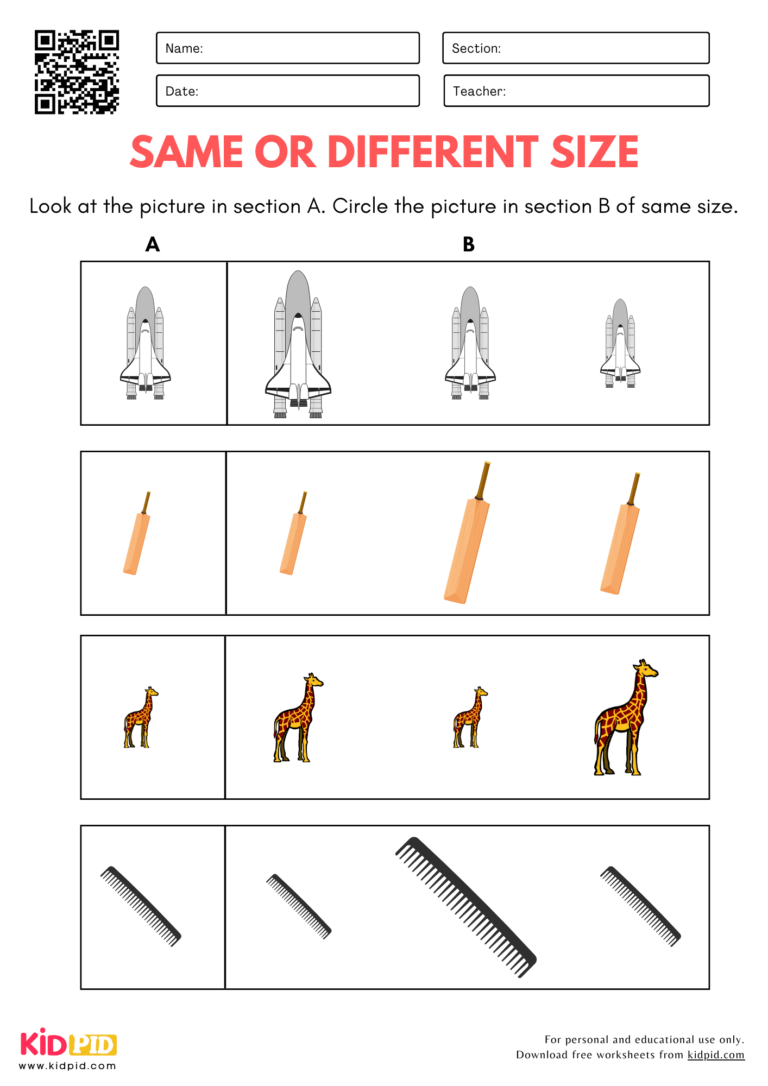 Same or Different Size Comparison Worksheet for Kindergarten - Kidpid