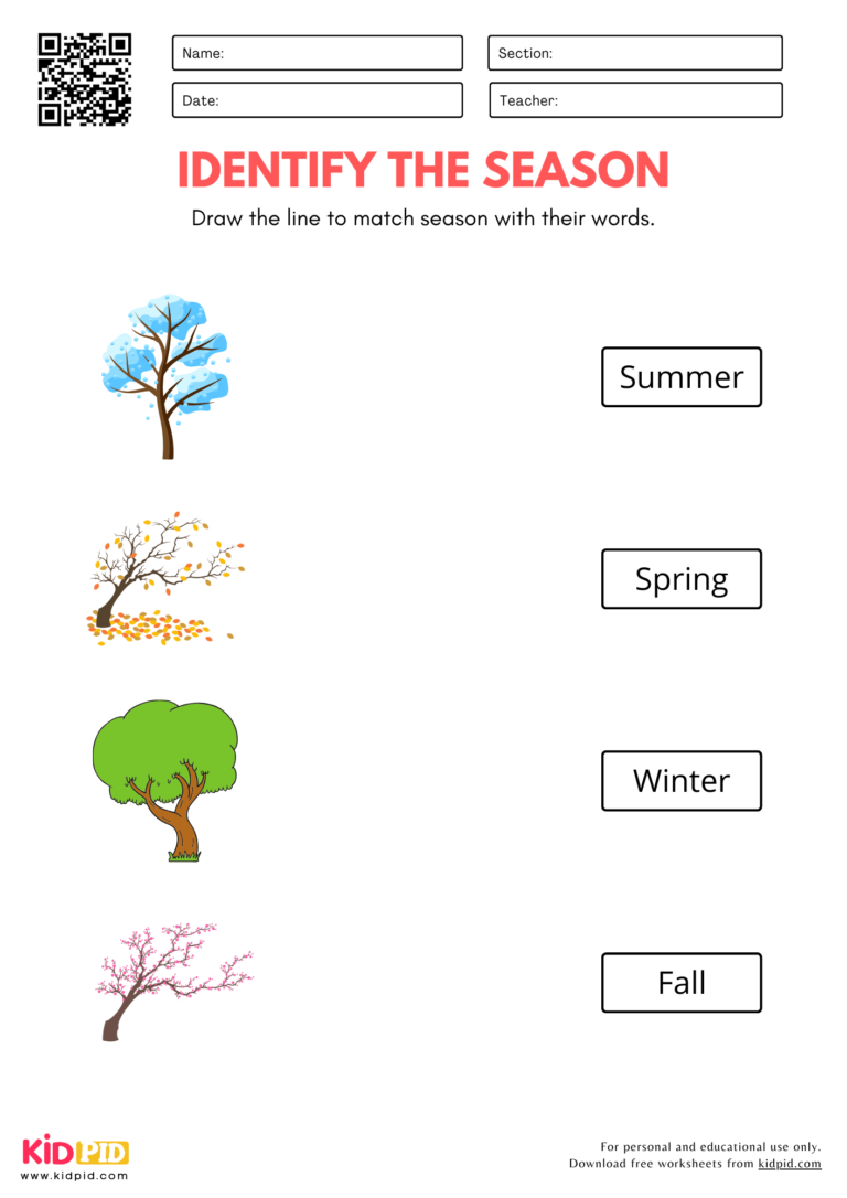 Season Identification Practice Worksheet for Kindergarten - Kidpid