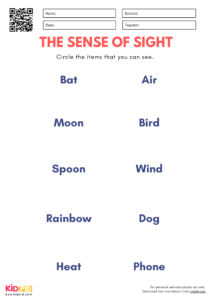 Senses Identification Worksheet for Kindergarten - Kidpid