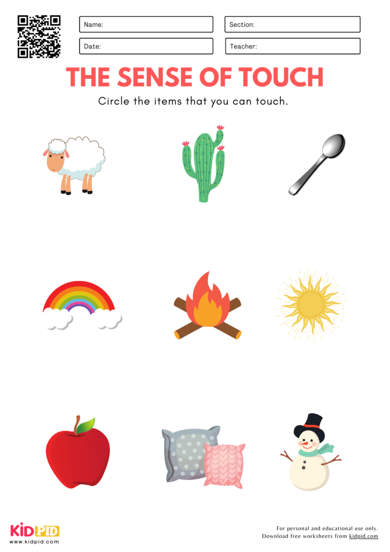 Senses Identification Worksheet for Kindergarten - Kidpid