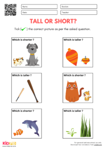 Tall or Short Size Comparison Worksheet for Kindergarten - Kidpid