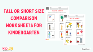 Tall or Short Size Comparison Worksheet for Kindergarten - Kidpid