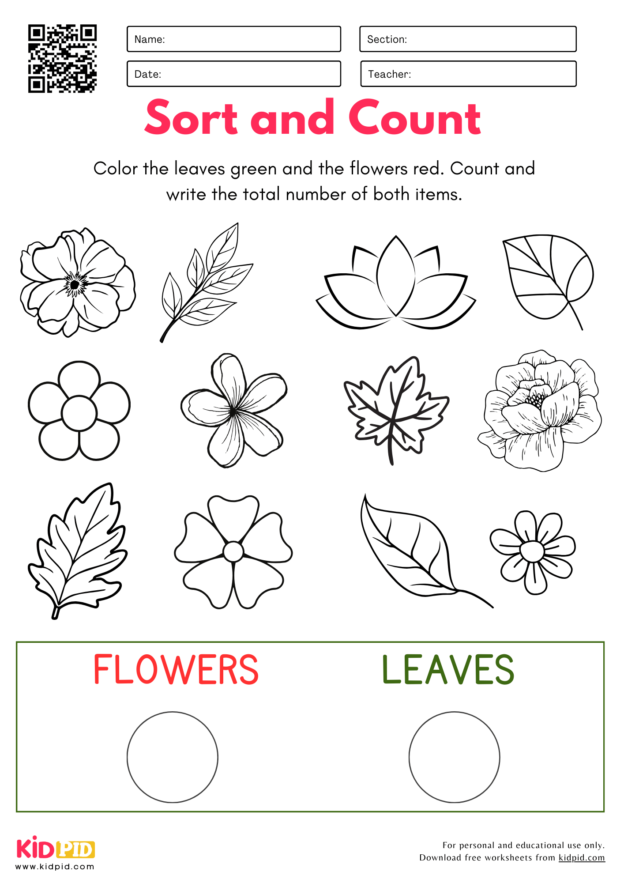 2 Group Sort And Count Worksheet For Grade 1 - Kidpid