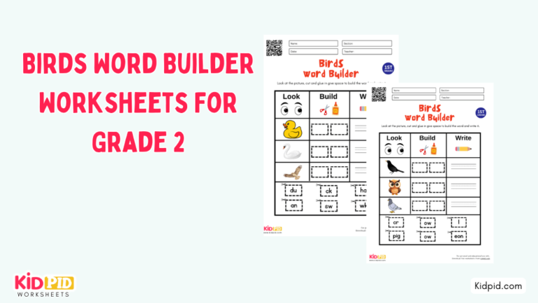 Birds Word Builder Worksheet For Grade 2 - Kidpid