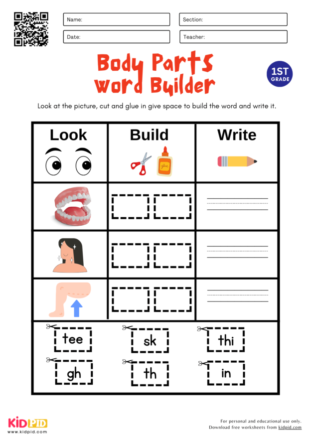 Body Parts Word Builder Worksheet For Grade 1 - Kidpid