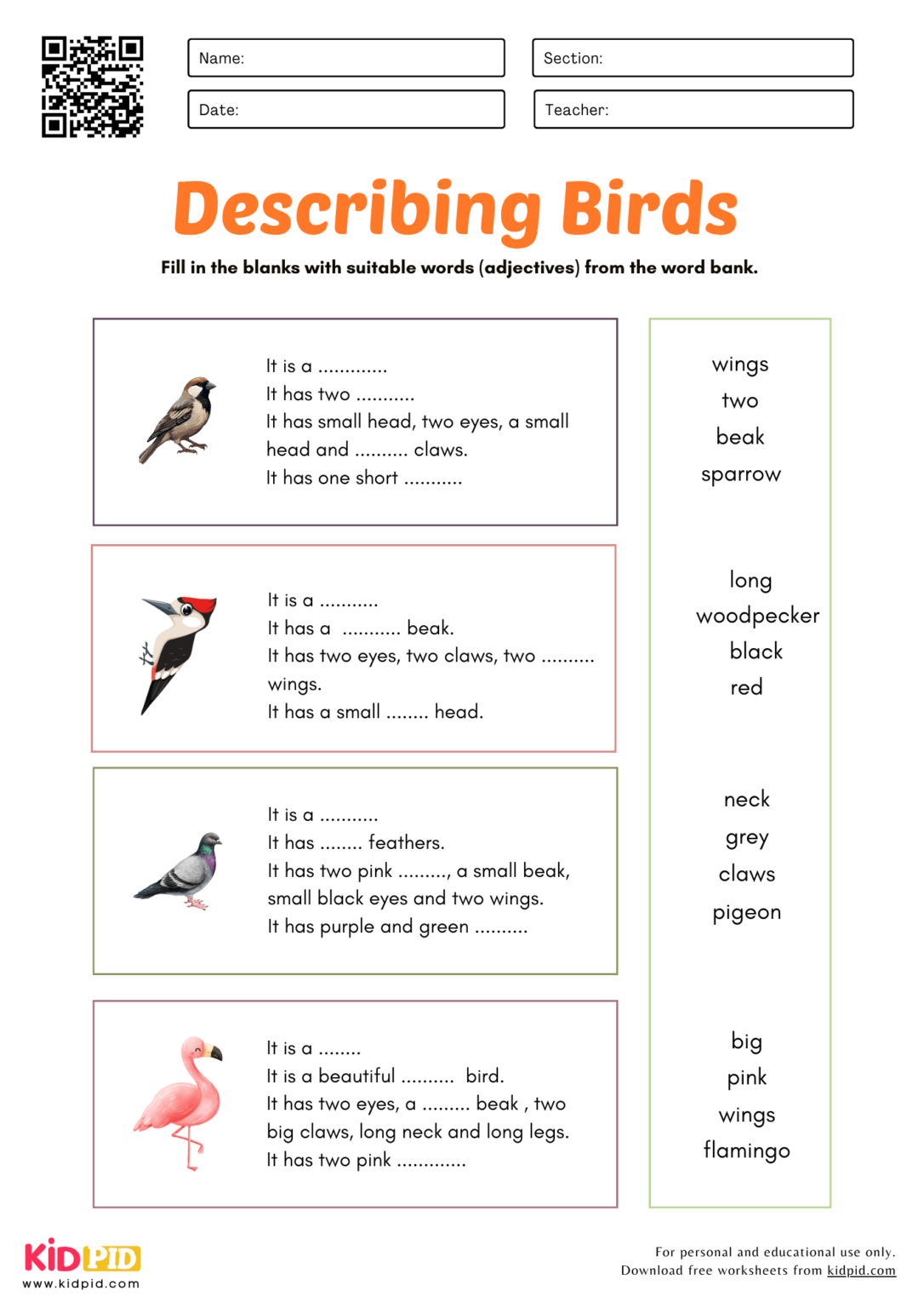 Describing Birds - Adjectives Worksheet for Grade 3 - Kidpid