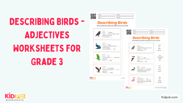 Describing Birds - Adjectives Worksheet for Grade 3 - Kidpid