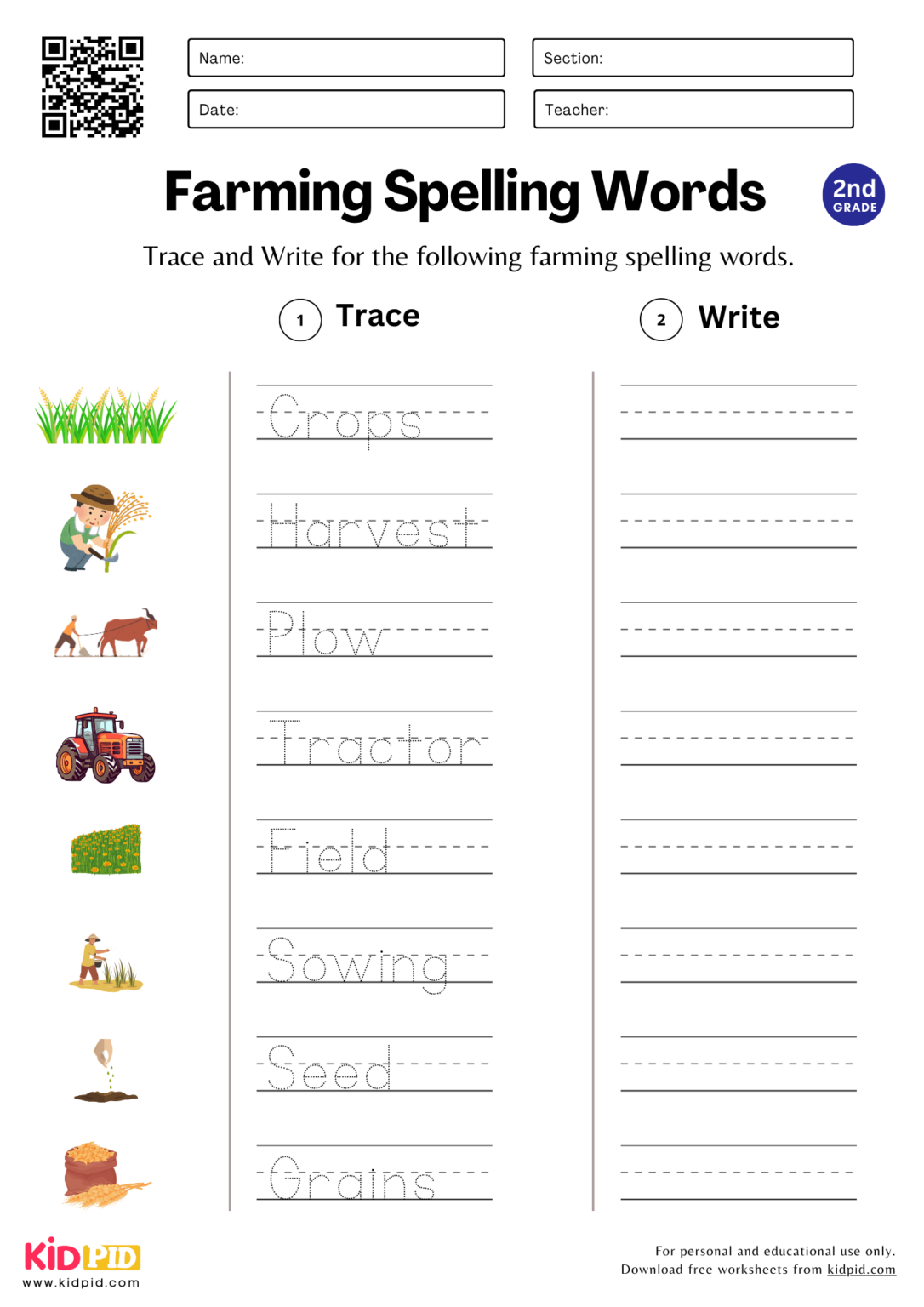Trace & Write Spelling Words Worksheet For Grade 2 - Kidpid