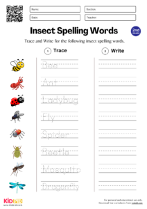 Trace & Write Spelling Words Worksheet For Grade 2 - Kidpid