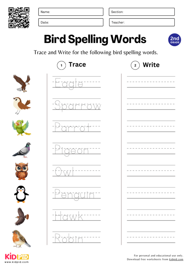 Trace & Write Spelling Words Worksheet For Grade 2 - Kidpid