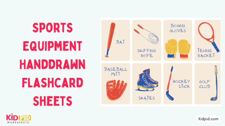 Sports Equipment Handdrawn Flashcard Sheets - Kidpid