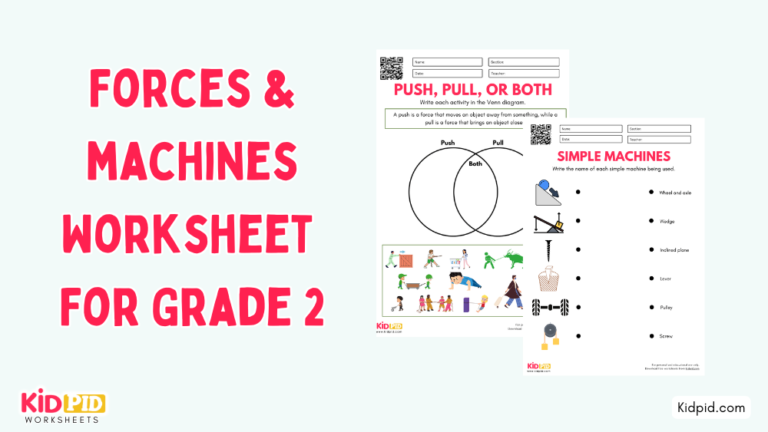 Forces & Machines Worksheet For Grade 2 - Kidpid