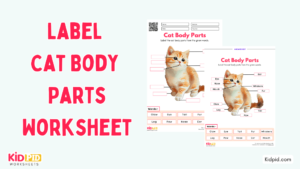 Label Cat Body Parts Worksheet - Kidpid