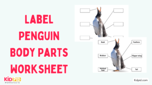 Label Penguin Body Parts Worksheet - Kidpid