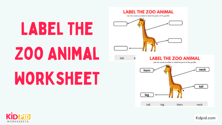 Label The Zoo Animal Worksheet - Kidpid